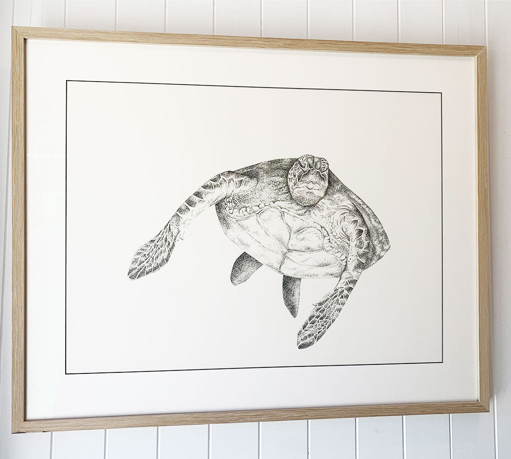 Original Framed - Grumpy Turtle Art – Ocean Love Art & Design